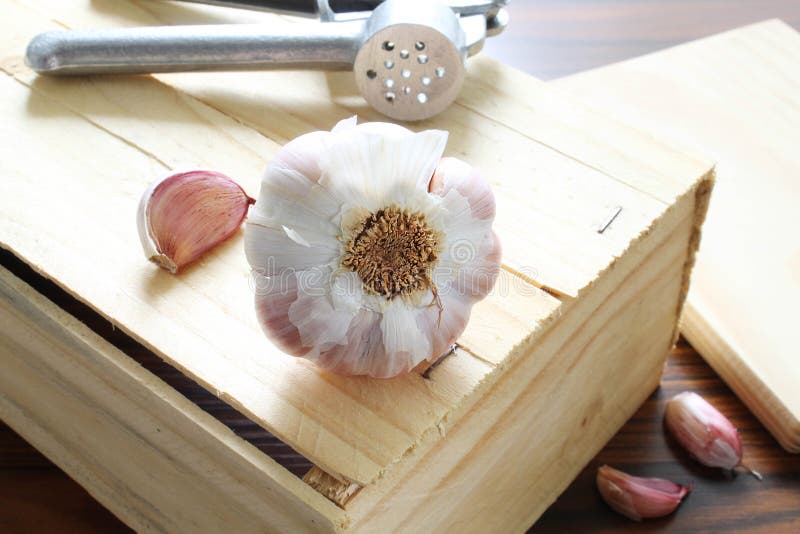 Garlic Bulb on the Wooden Box with Garlic Press Stock Image - Image of ...