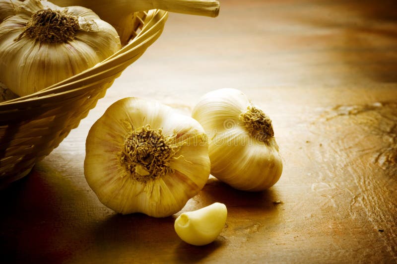 Garlic bulbs stock image. Image of clove, spice, high - 1305115