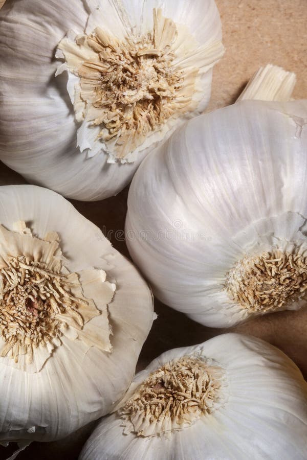 Garlic Bulbs stock photo. Image of food, bulb, ingredients - 27793094