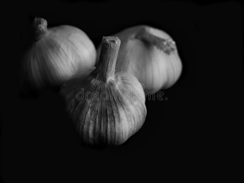Garlic Bulbs on Black Background. Stock Photo - Image of background ...