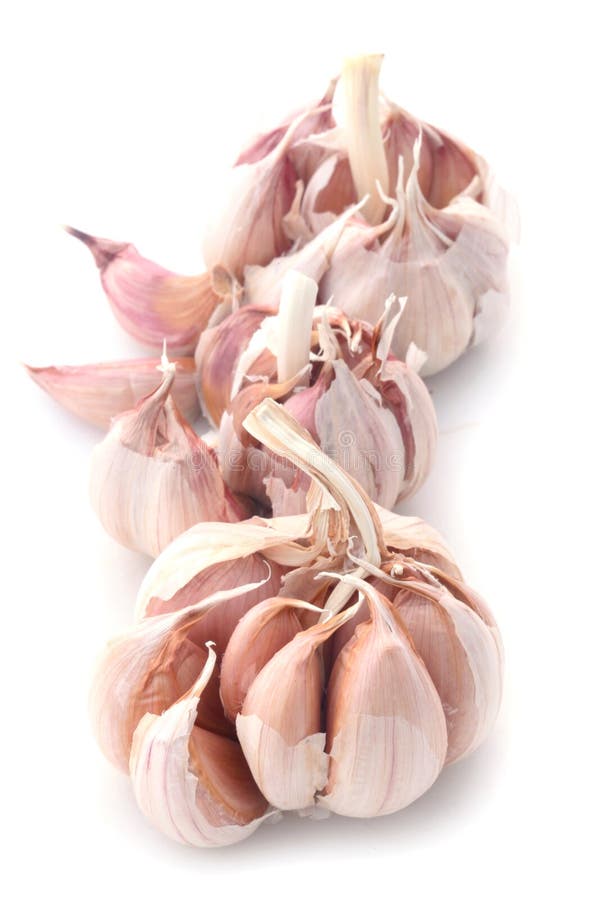 Garlic Bulbs stock photo. Image of bulb, spice, bulbs - 160869004