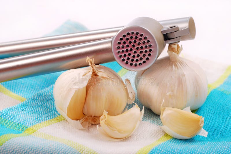 Garlic bulbs and press stock image. Image of seasonal - 15893575
