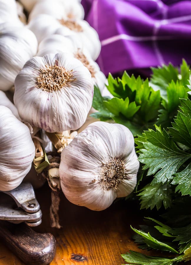 Garlic. Bunch of Fresh Garlic with Celery Herbs Stock Photo - Image of ...