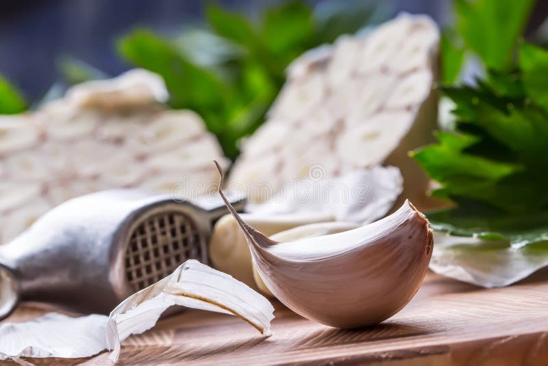Garlic. Bunch of Fresh Garlic with Celery Herbs Stock Image - Image of ...