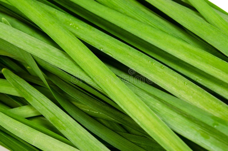 Garlic chives stock photo. Image of vegetable, diet, fresh - 24976248
