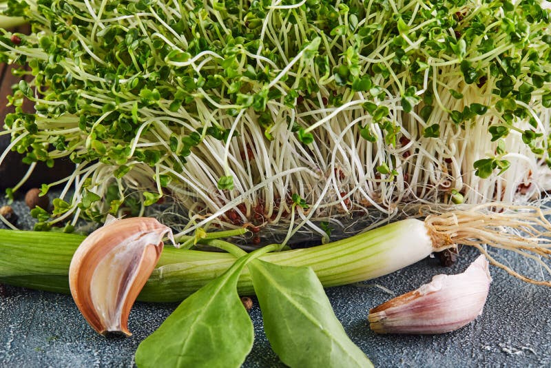 Garlic, Chives, Sprouts and Peas of Pepper on a Blue Background Stock ...