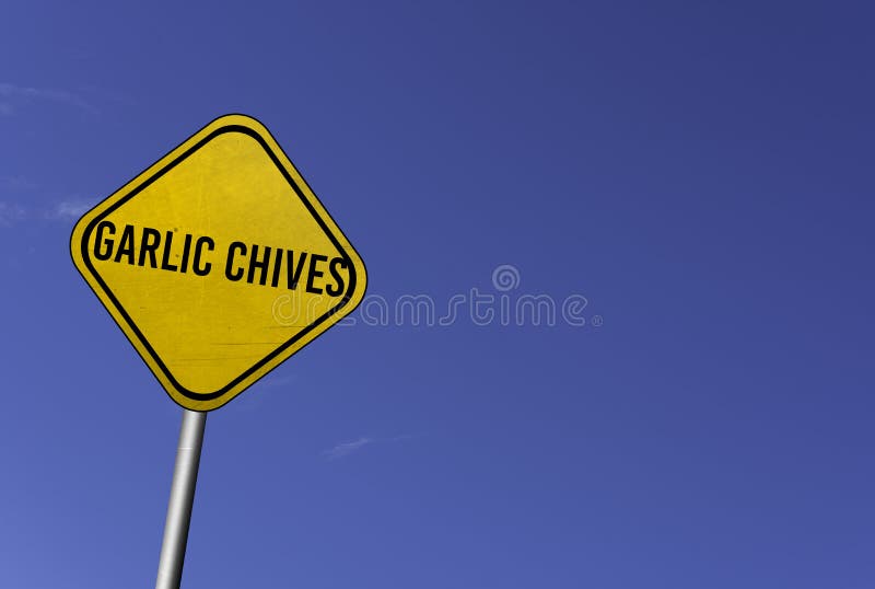 Garlic Chives - Yellow Sign with Blue Sky Background Stock Illustration ...