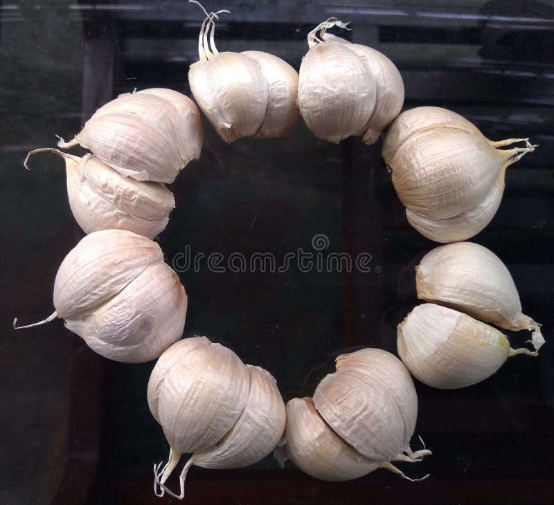 Garlic Circle on a Glass Table Stock Photo - Image of vegetable, spices ...