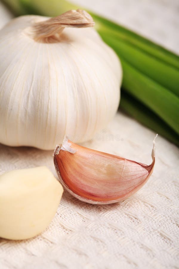 Garlic close up stock photo. Image of burlap, shot, cuisine - 19549060