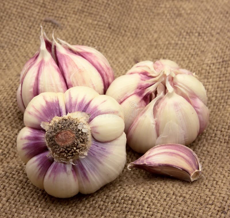 Garlic close up stock image. Image of texture, clean - 20032549