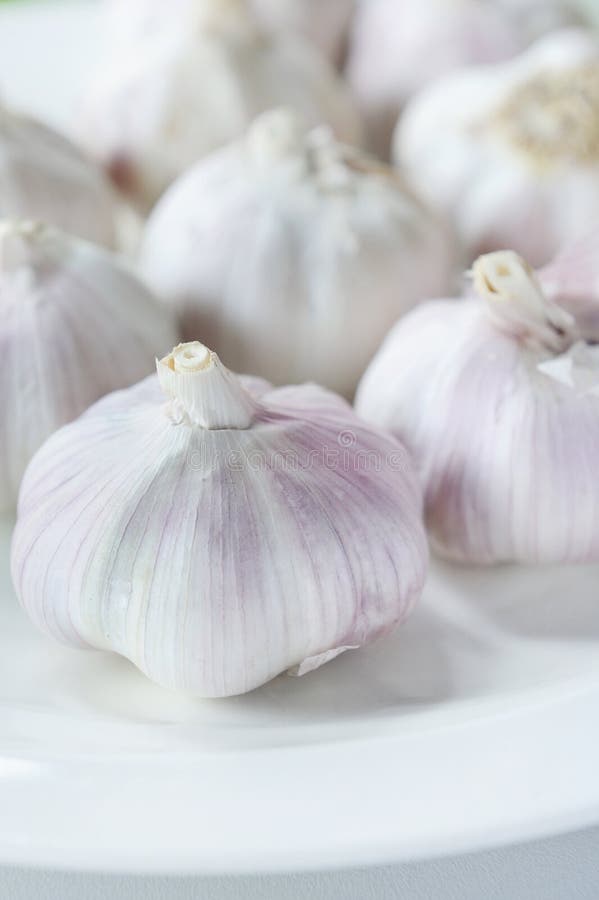 Garlic close up stock photo. Image of organic, closeup - 24675870