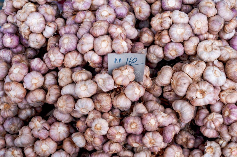 Garlic stock image. Image of food, garlic, bangkok, close - 259832287