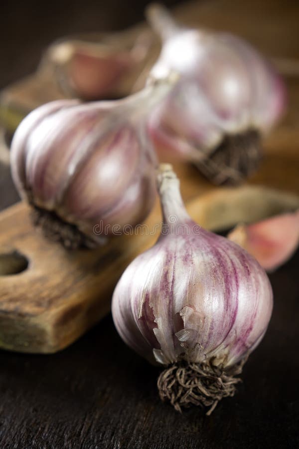 Garlic stock image. Image of life, macro, kitchen, food - 21990675