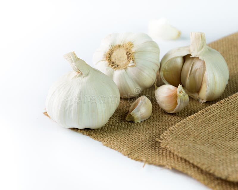 Garlic stock photo. Image of seasoning, garlic, veggies - 23959580