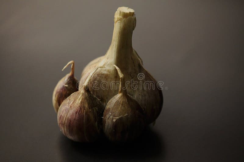 Garlic stock photo. Image of meals, healthy, flavoring - 79262776