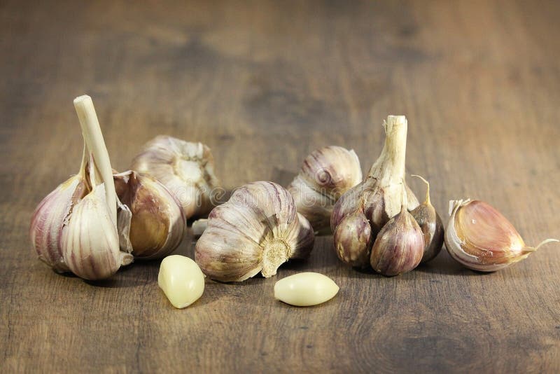 Garlic stock photo. Image of background, brown, meals - 79271630