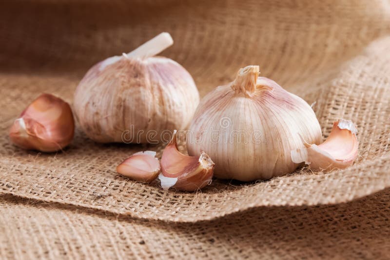 Garlic close up stock image. Image of gourmet, ingredient - 36114297
