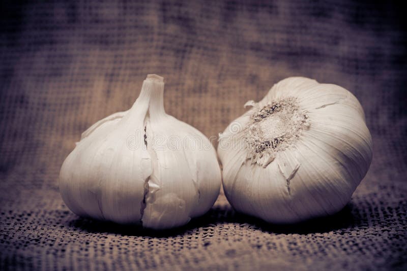 Garlic Close Up. Color Tone Tuned Photo Stock Photo - Image of group ...