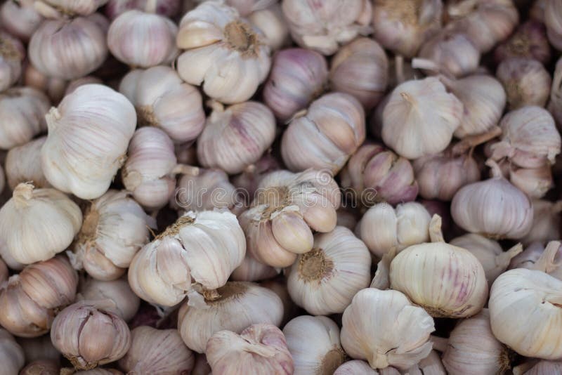Garlic. stock image. Image of peeled, healthy, detail - 165568105