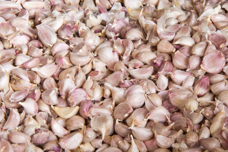 Garlic stock photo. Image of cure, garlic, food, taste - 93150410