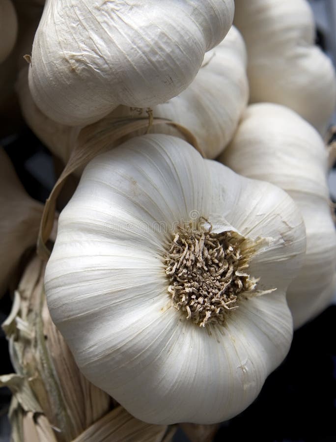 Garlic close up stock image. Image of kitchen, spice - 227470021