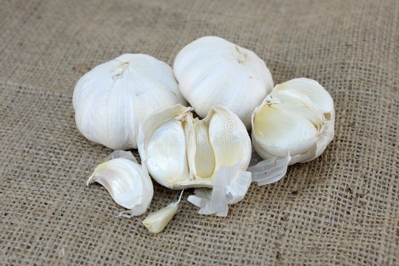 Garlic stock image. Image of abundance, kitchen, lifestyle - 45849621