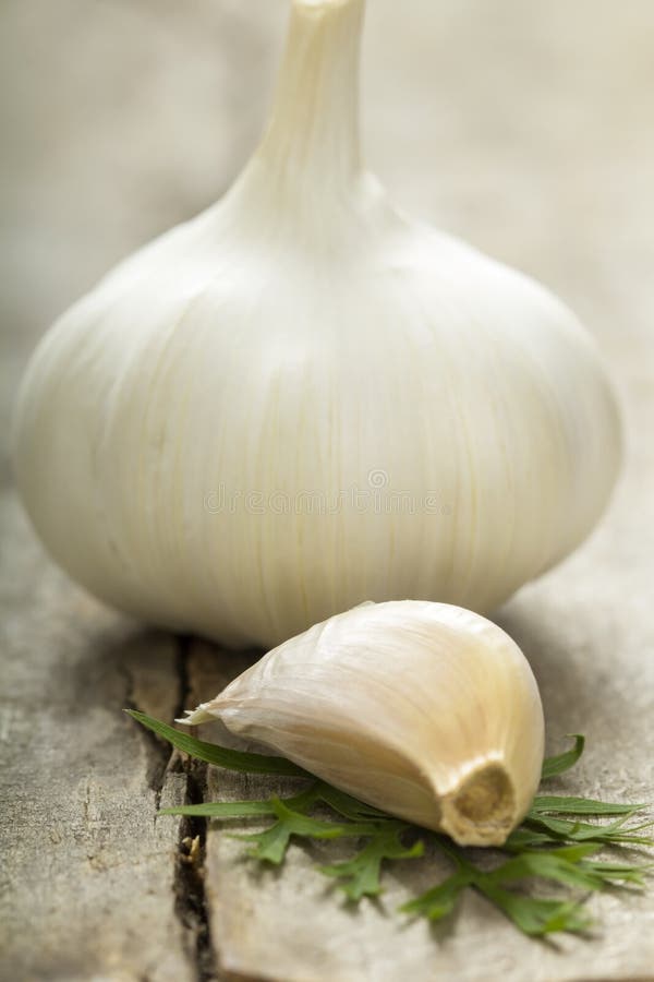 Garlic stock image. Image of green, closeup, cooking - 49079129