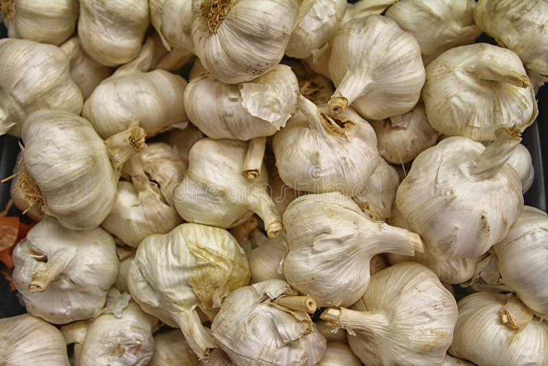 Stack of garlic in France stock photo. Image of nutrition - 277929290
