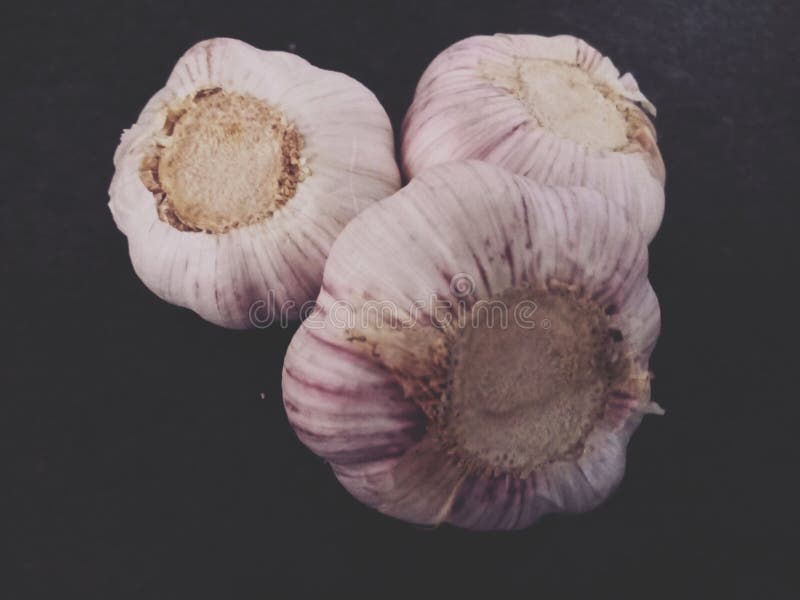 Garlic in closeup stock image. Image of food, israel - 169024405