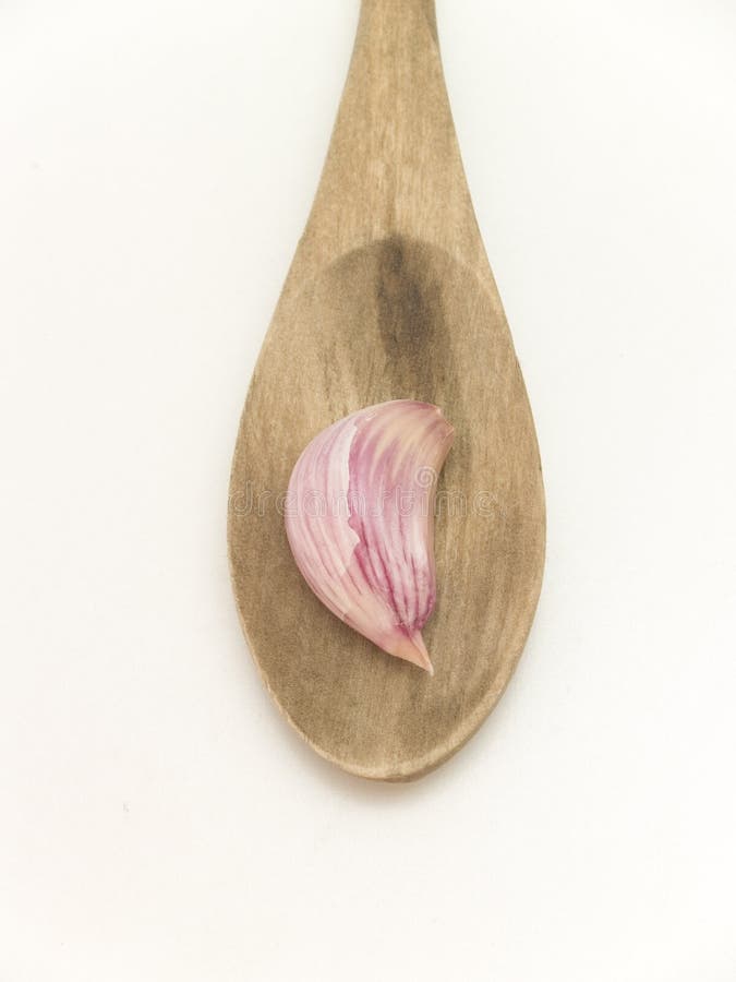 Garlic clove stock image. Image of garlic, organic, gourmet - 11104021