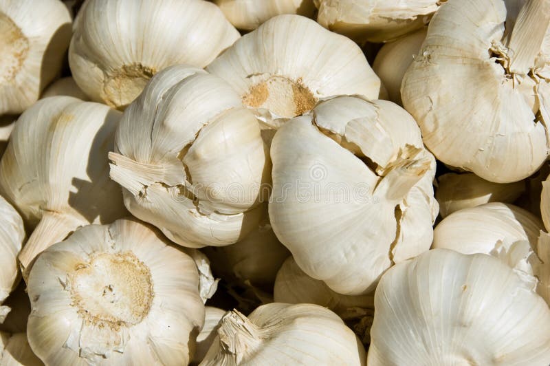 Garlic Clove Stack stock photo. Image of healthy, white - 3172386