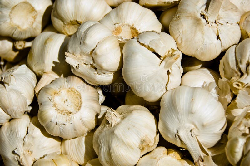 Garlic Clove Stack stock image. Image of flavor, diet - 3219519