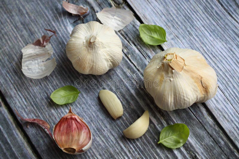 Garlic Cloves Whole on Display Close Up in a Retail Grocery Store in ...