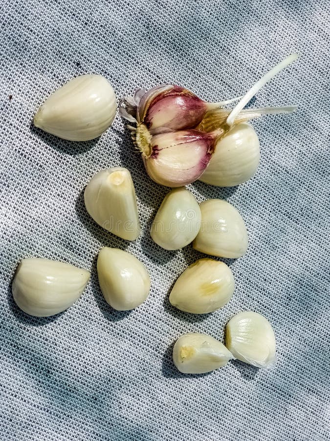 Garlic Cloves and a Head of Garlic on a Gray Burlap Stock Image - Image ...