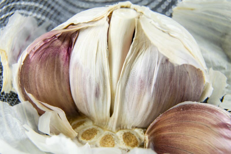 Garlic cloves. stock image. Image of cloves, spicy, cultivar - 199770327