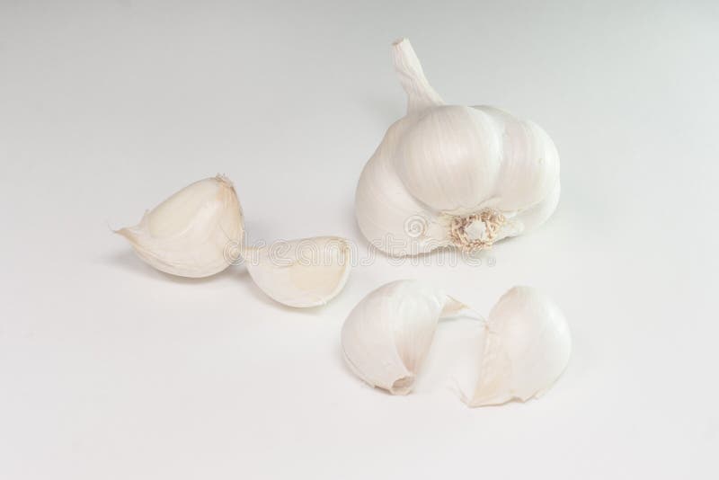Garlic, Softneck Garlic, Hardneck Garlic, Softneck Garlic, Rocambole ...