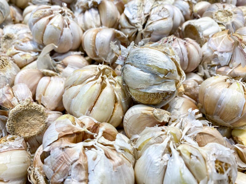 Garlic Collection Forms Background, Raw Garlic Wallpaper Stock Image ...