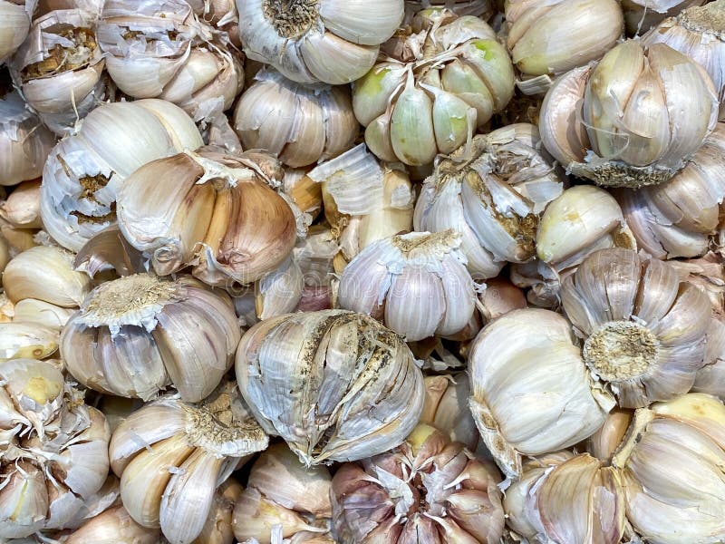 Garlic Collection Forms Background, Raw Garlic Wallpaper Stock Image ...