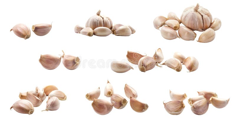 Garlic Collection Isolated on White Background with Clipping Path Stock ...