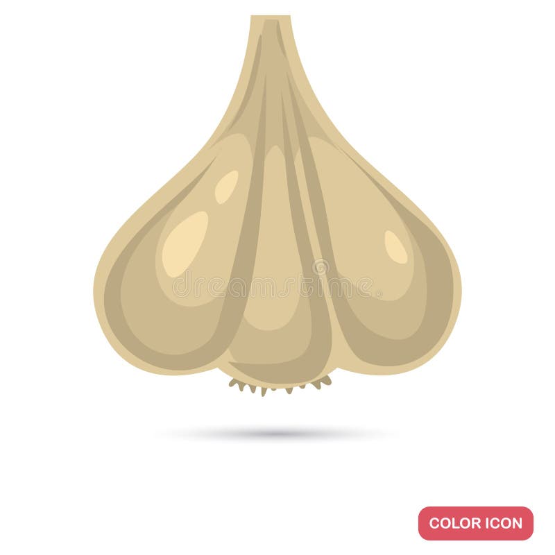 Garlic Color Icon for Web and Mobile Design Stock Illustration ...