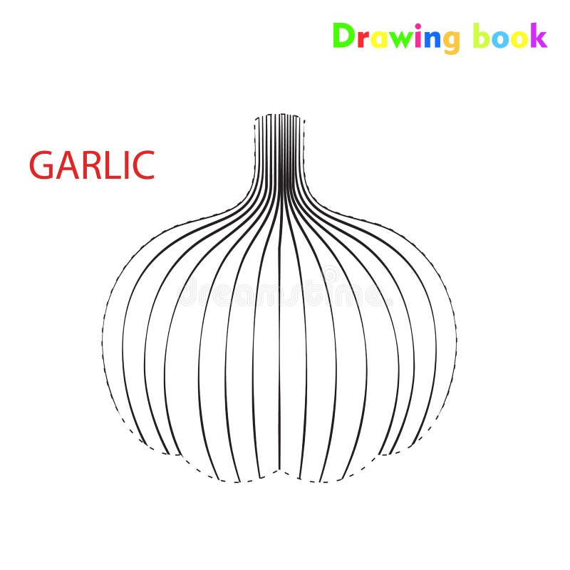 Garlic Coloring and Drawing Book Vegetable Design Illustration Stock ...