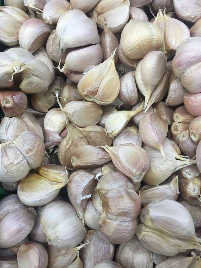 Bunch of garlic close up stock photo. Image of ingredient - 146087800