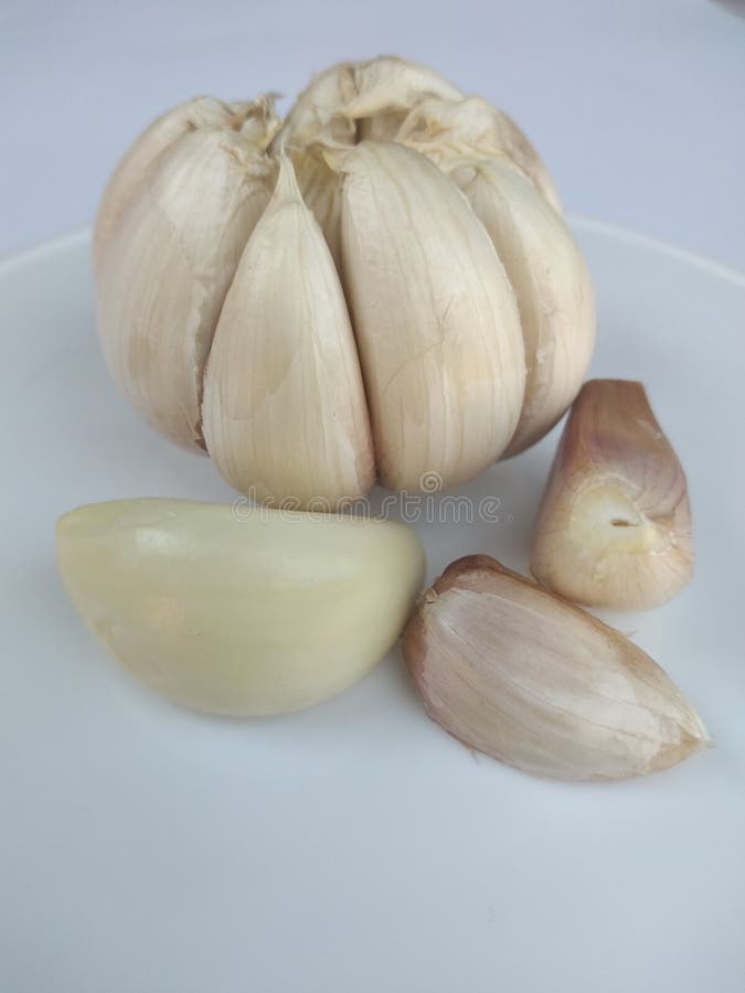 Garlic vegetables stock photo. Image of healthy, meal - 317154800
