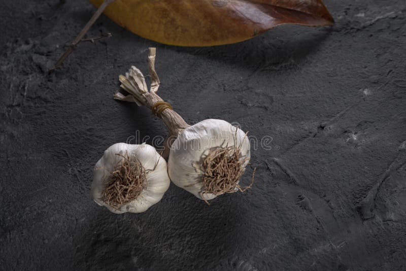 Garlic Concept on Stone Floor Stock Photo - Image of banner, garlic ...