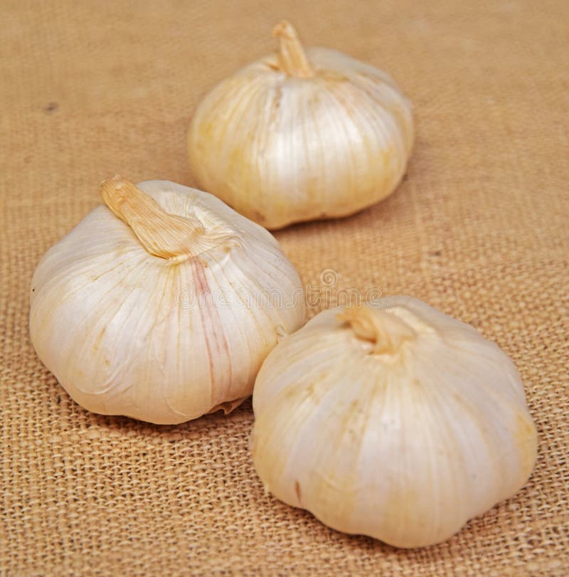 Garlic for cooking stock image. Image of background, garden - 77845685