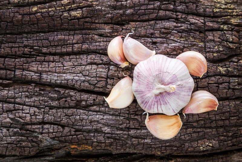 Garlic for cooking stock image. Image of still, spice - 54871703