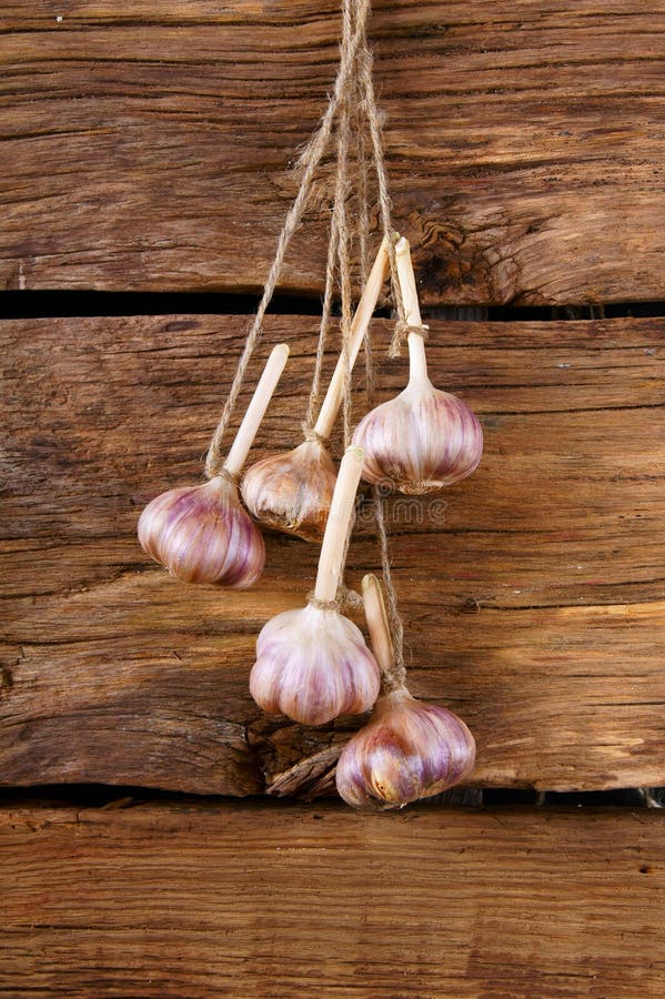 Garlic strand stock image. Image of basket, plant, italian - 55595601