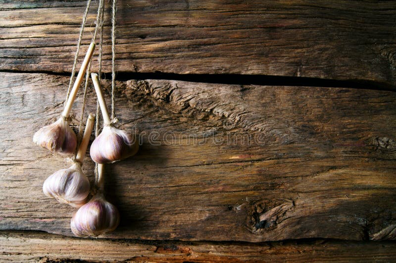 Garlic strand stock image. Image of basket, plant, italian - 55595601