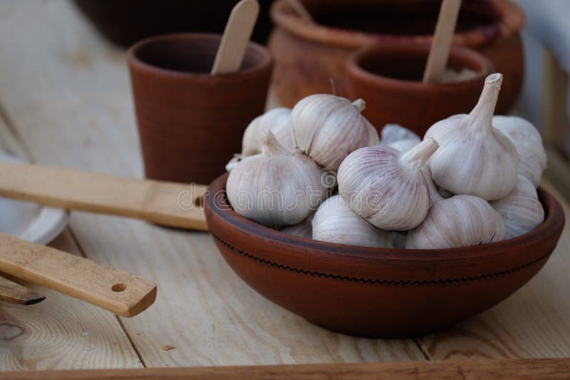 Garlic in a Cup stock photo. Image of clay, head, table - 130835004