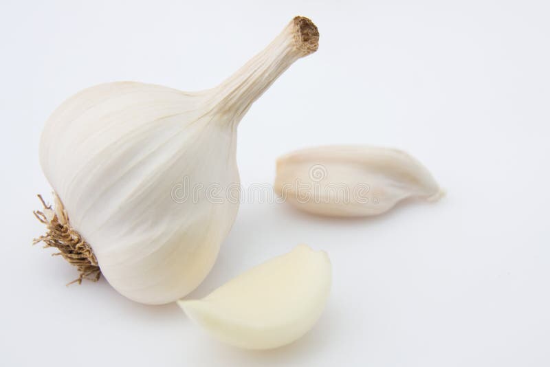 Garlic isolated stock photo. Image of fresh, macro, closeup - 128559196